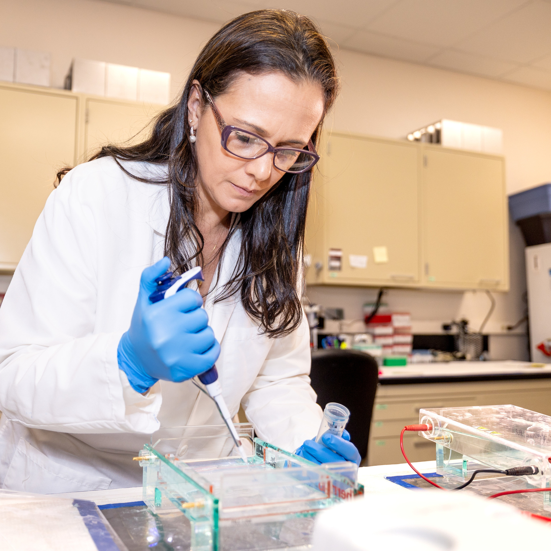 Research | College of Dentistry and Dental Clinics - The University of Iowa