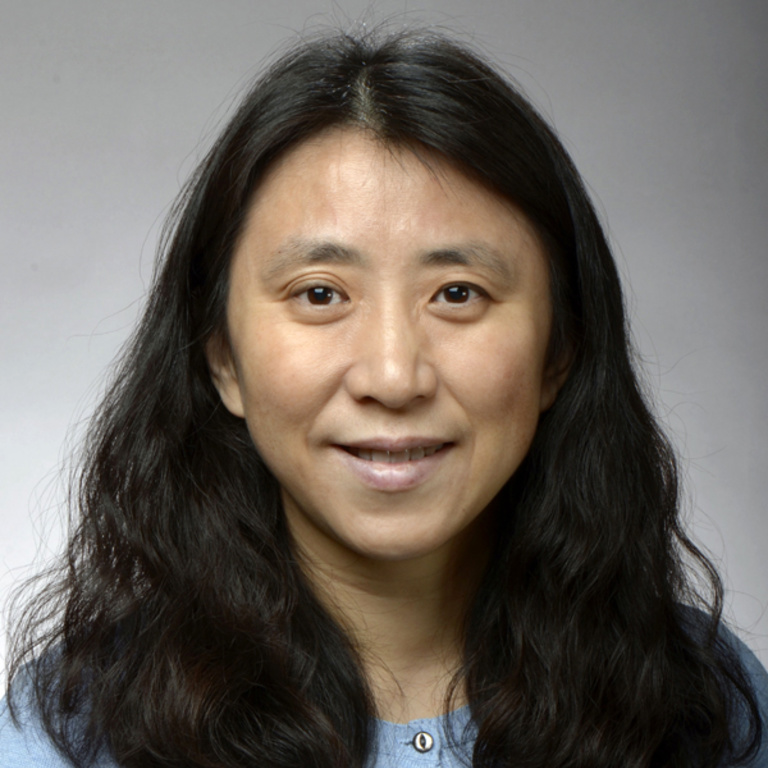 Research | College of Dentistry and Dental Clinics - The University of Iowa