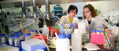 Research | College of Dentistry and Dental Clinics - The University of Iowa