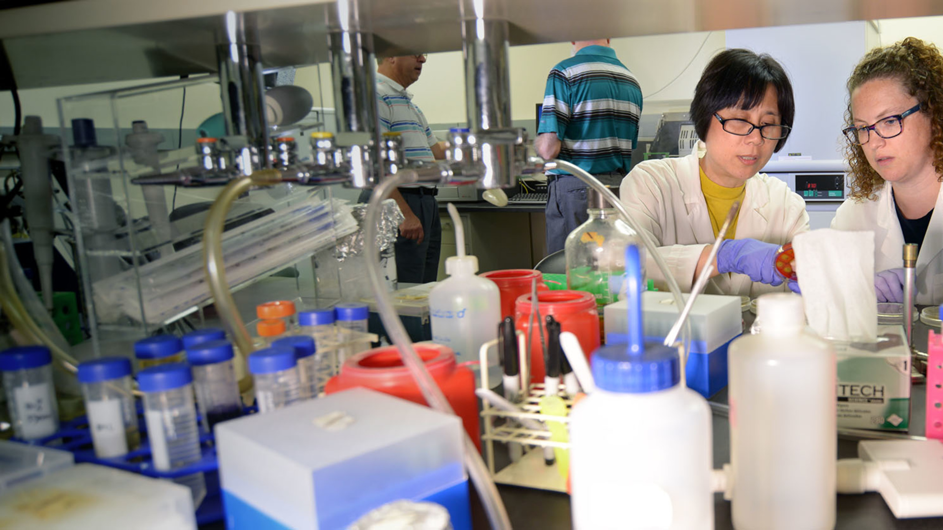 About | College of Dentistry and Dental Clinics - The University of Iowa