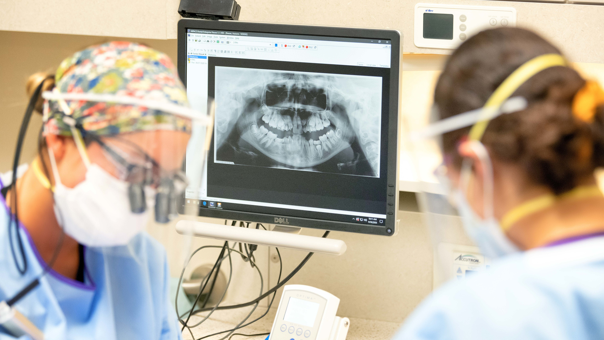 Specialty Programs | College of Dentistry and Dental Clinics - The ...